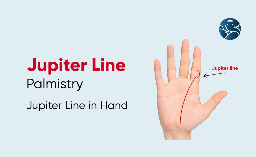 Jupiter Line Palmistry: Jupiter Line in Hand