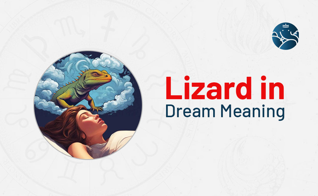 Lizard in Dream Meaning in Astrology