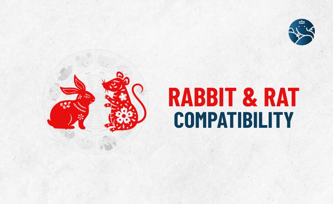 Rabbit and Rat Compatibility - Rabbit Rat compatibility