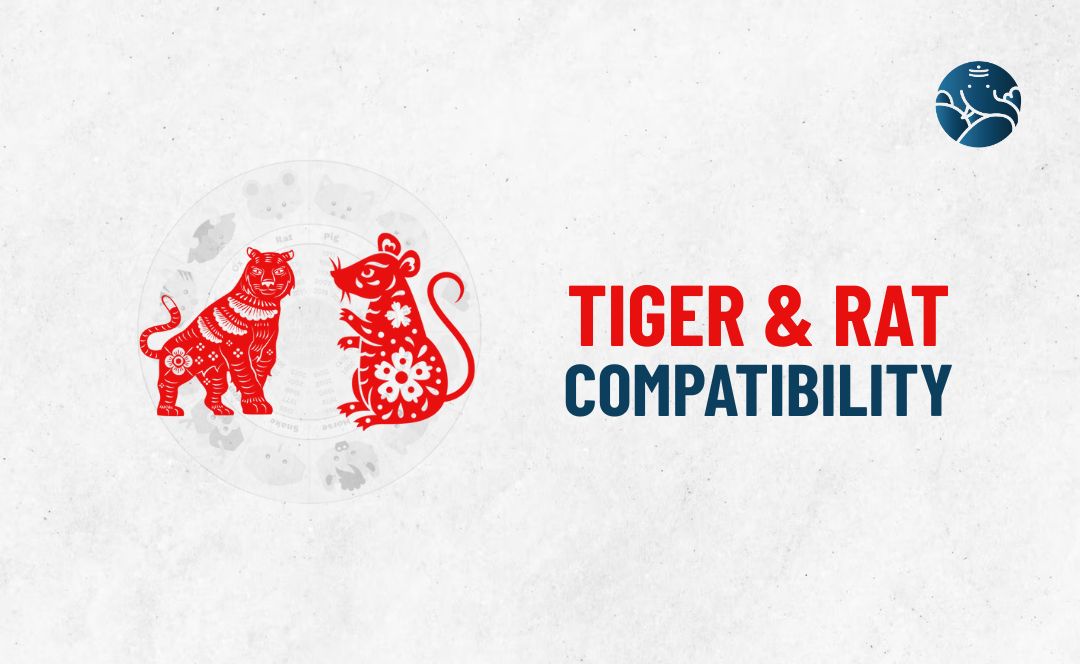 Tiger and Rat Compatibility - Tiger Rat compatibility