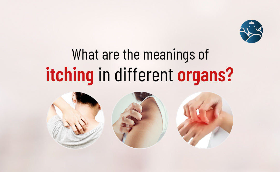 What Are The Meanings Of Itching In Different Organs?