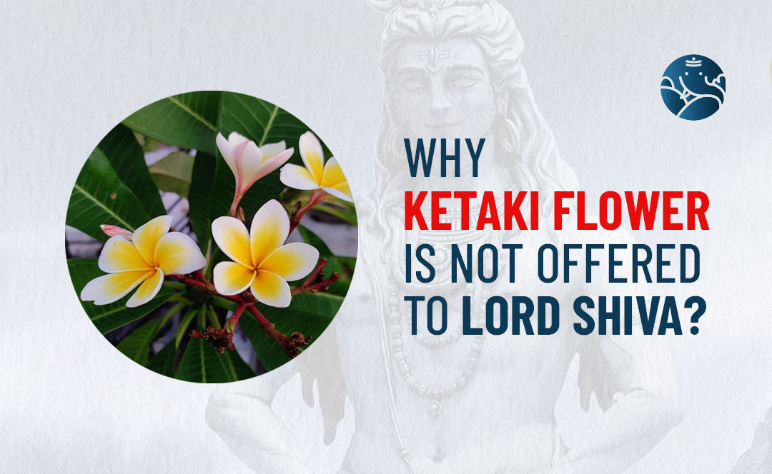 Why Ketaki Flower Is Not Offered To Lord Shiva?