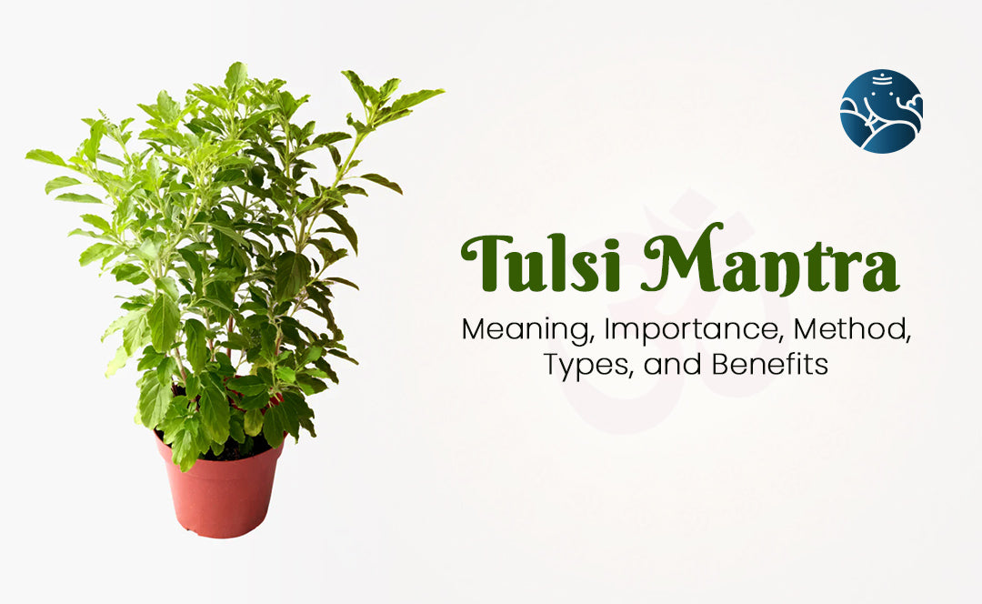 Tulsi Mantra: Meaning, Importance, Method, and Benefits