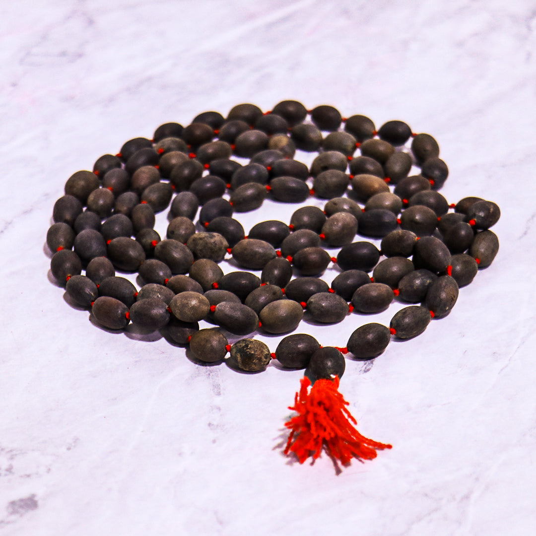 Kamal Gatta Mala Provides a Lot of Wealth – Bejan Daruwalla